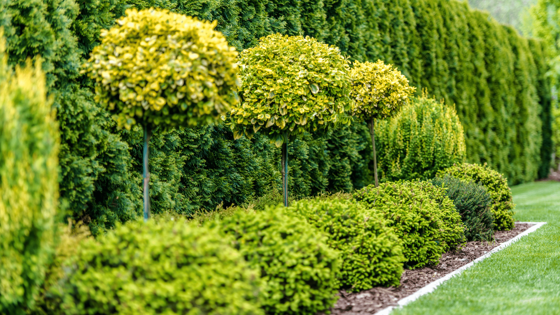 Expert Plant Health Care in Michigan | Longtree Tree Service