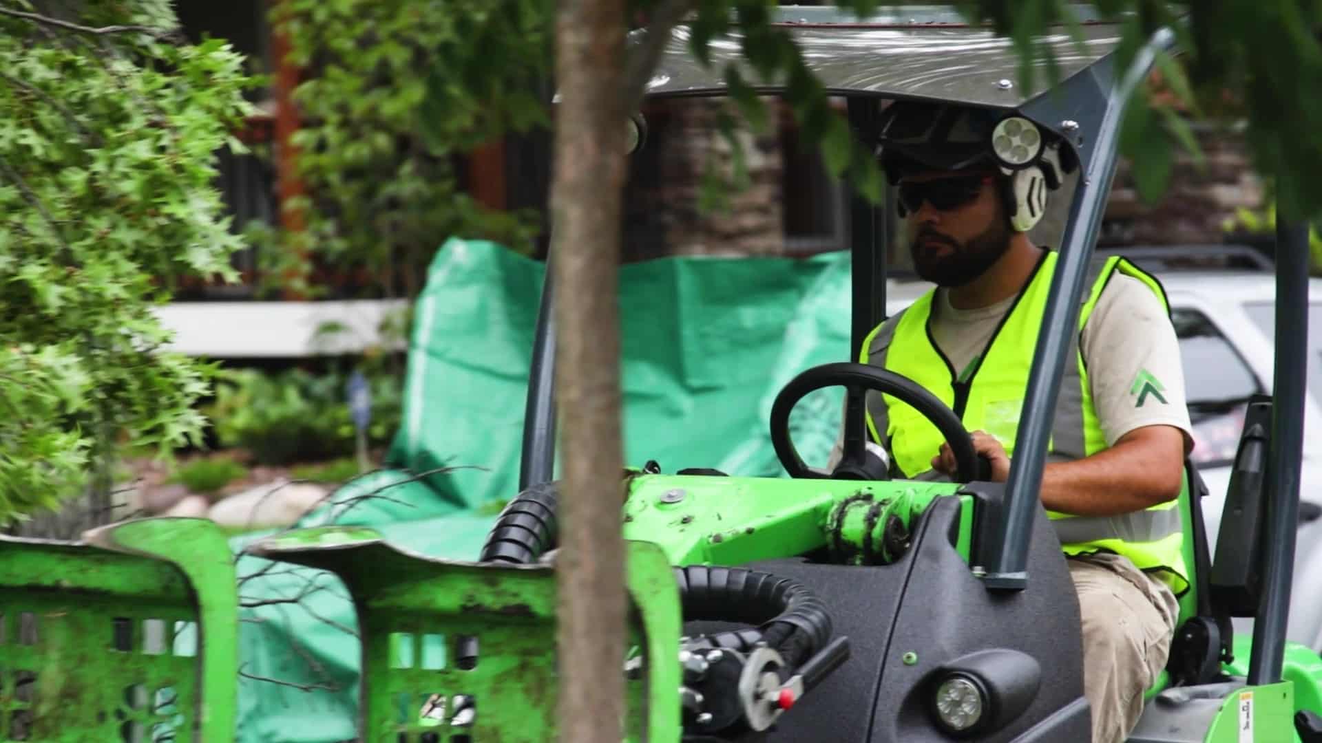 Honest Expert Arborist Services in Michigan | Longtree Tree Service ...